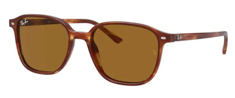 Ray-Ban RB2193 Leonard Sunglasses - SafetyGearPro.com
