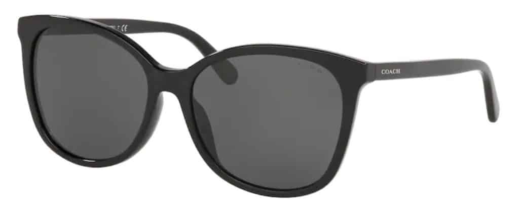 Coach HC8271U Sunglasses - SafetyGearPro.com